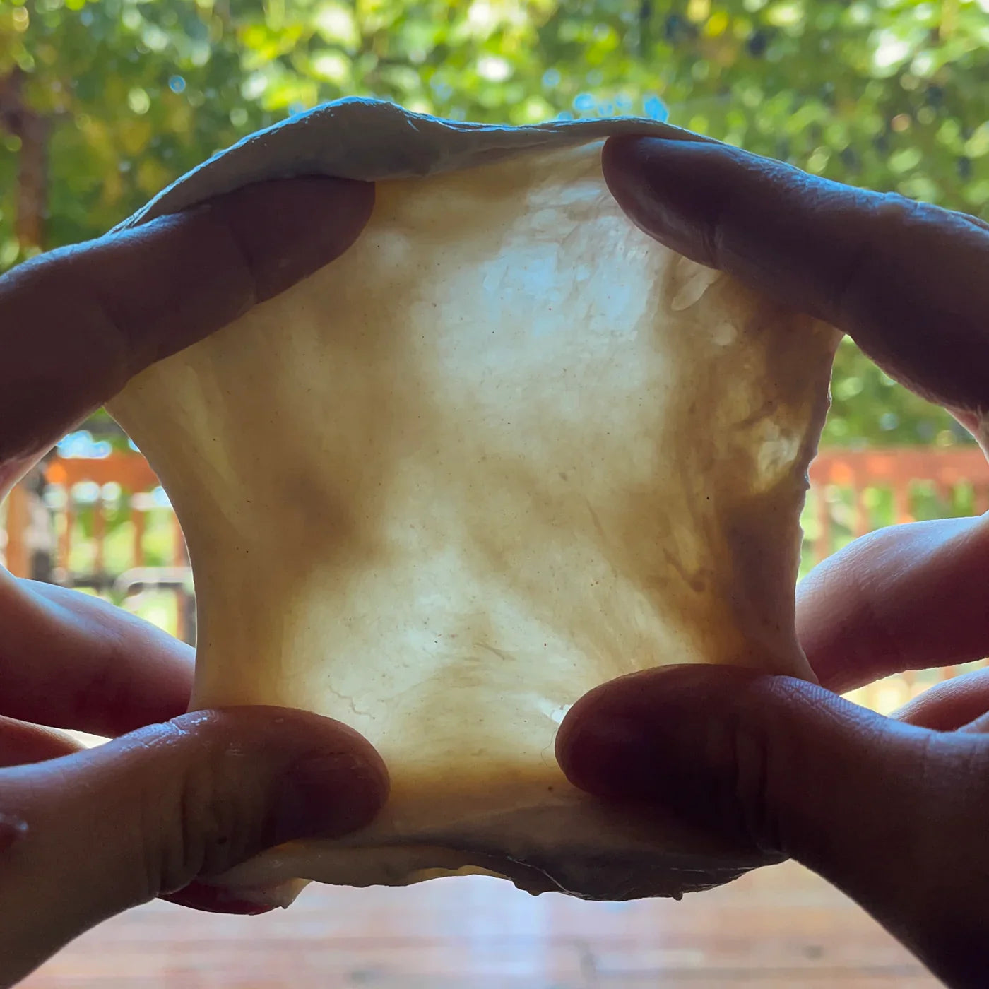 Why the Windowpane Test Is Pointless for Pizza Dough (And What Actuall ...